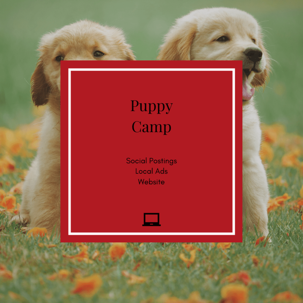 Our Work - Advent Media Group